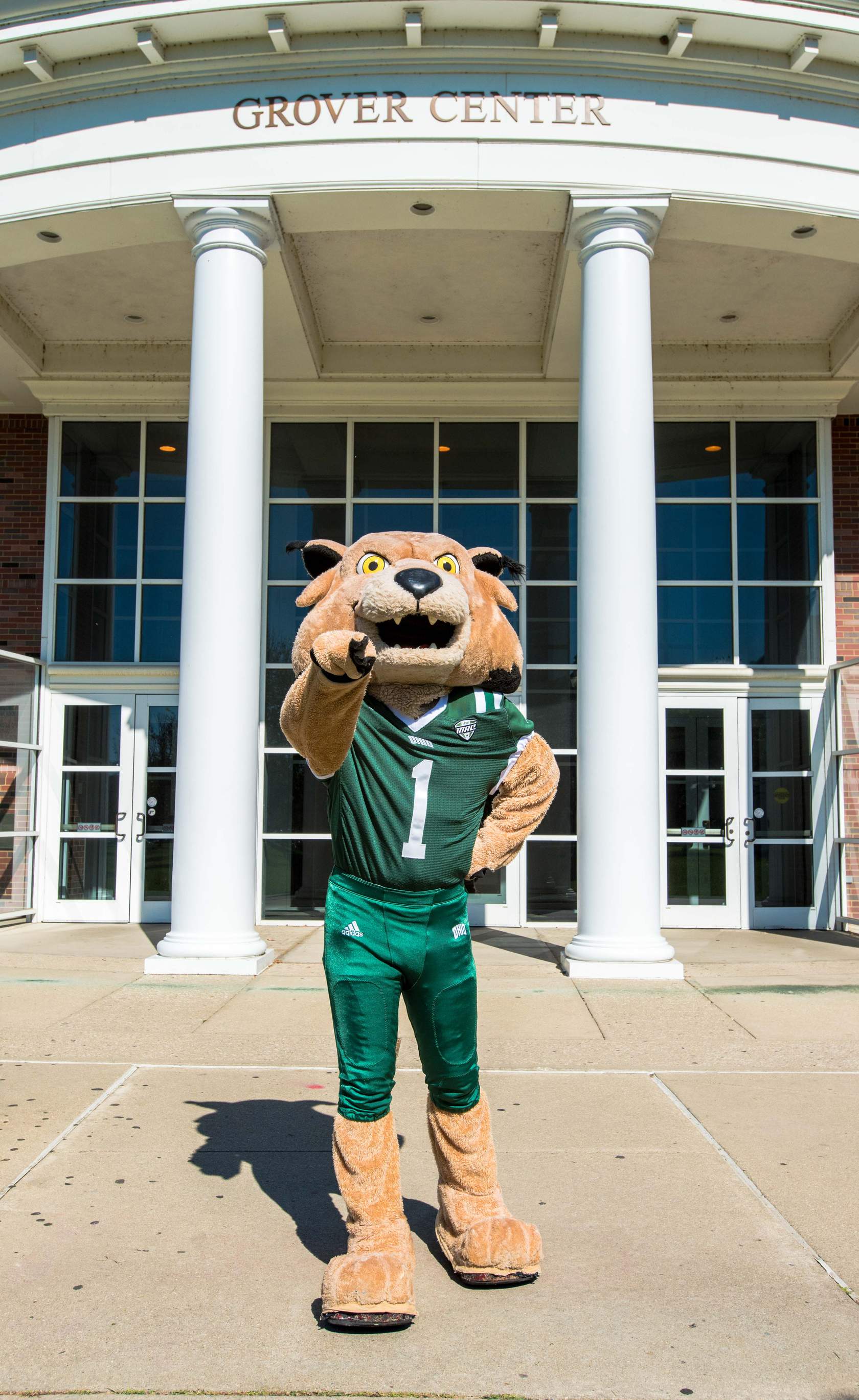 Ohio University Degree Audit Reporting System (DARS) Explained: A Guide ...